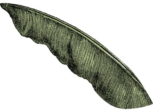 Rum aged on the island of Saint-Martin – Rum Gouverneur “XO”, Blend of ...